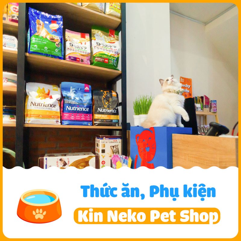KIN NEKO PET SHOP - CỬA HÀNG THÚ CƯNG