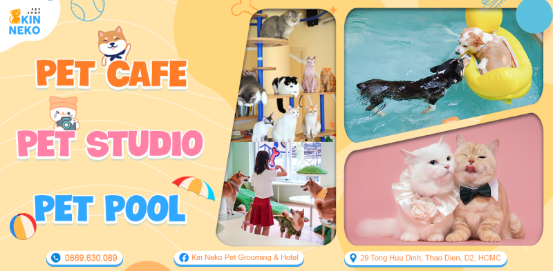 KIN NEKO PET SHOP - CỬA HÀNG THÚ CƯNG