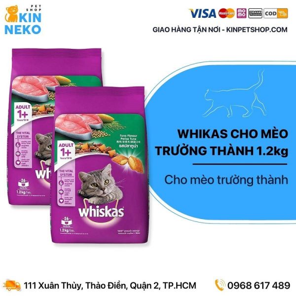 Top 12 thức ăn hạt cho mèo tốt nhất hiện nay không thể bỏ qua | Kin ...