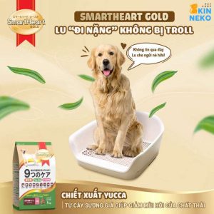 Thức Ăn Hạt Smartheart Gold Dành Cho Chó Trưởng Thành Giống Vừa Và Lớn ...