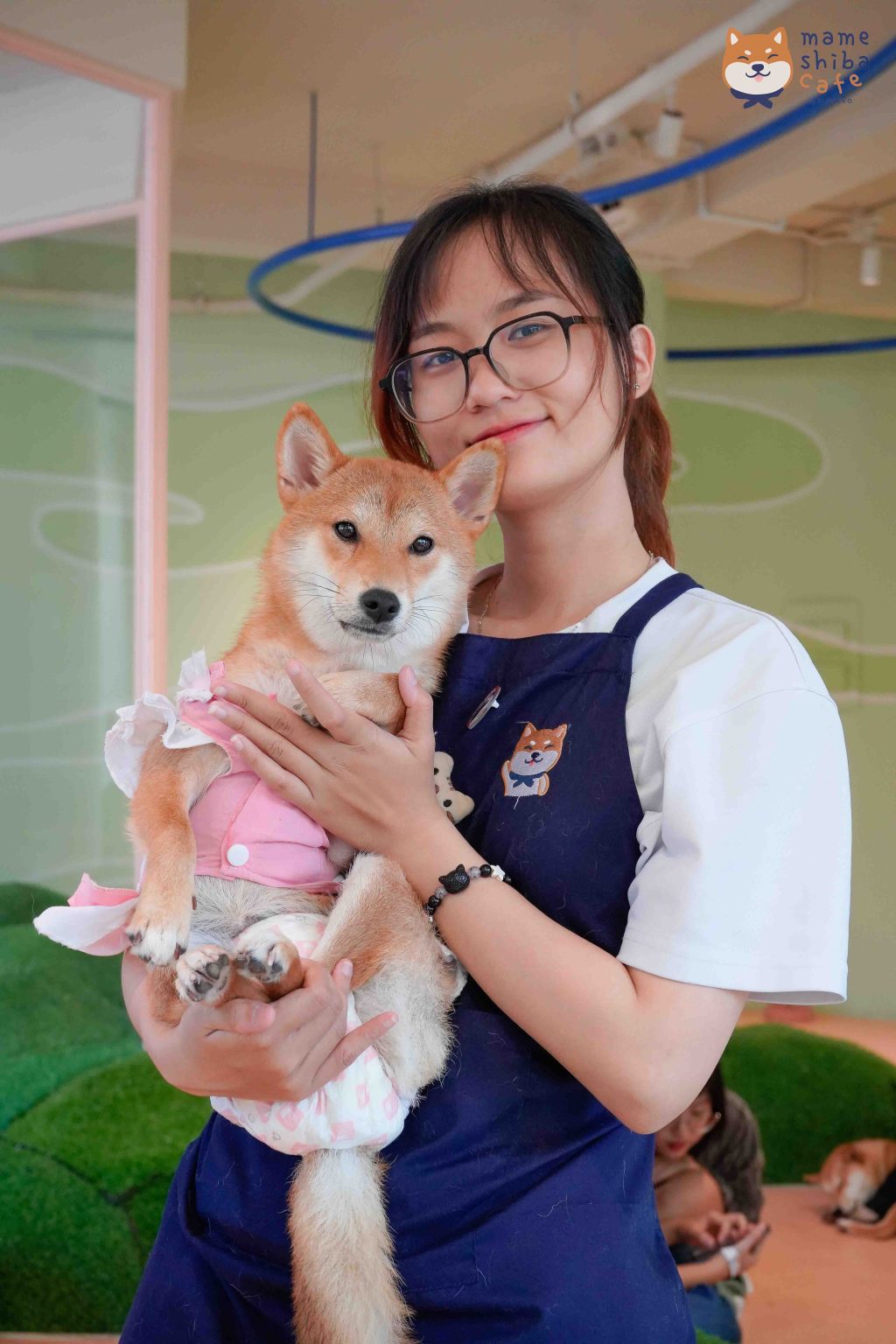 MAME SHIBA CAFE - KHÔNG GIAN CAFE CÚN CỰC YÊU DÀNH CHO BẠN | Kin Neko ...