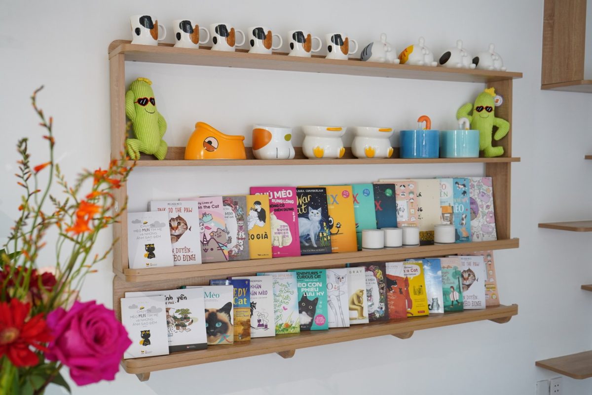 Kin Neko Cat Cafe - Điểm đến lý tưởng cho người yêu mèo