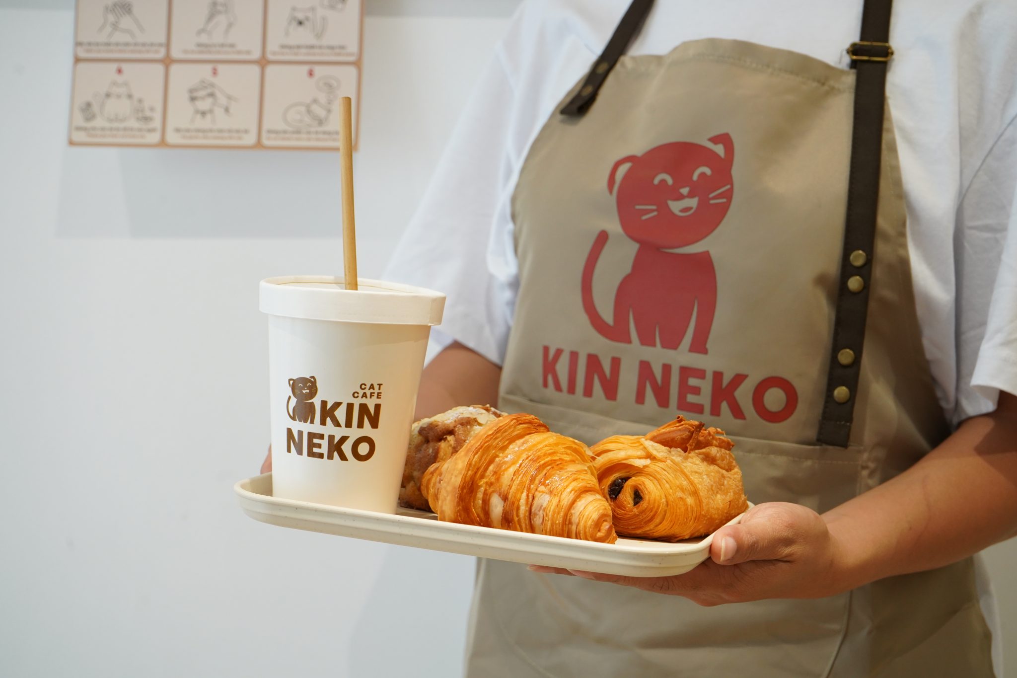 Kin Neko Cat Cafe - Điểm đến lý tưởng cho người yêu mèo