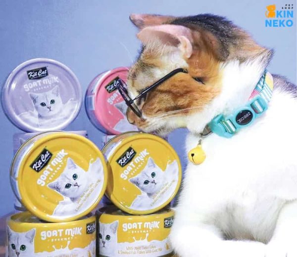Pate sữa dê Kit Cat Cá Ngừ - Lon 70g | Kin Neko Petshop
