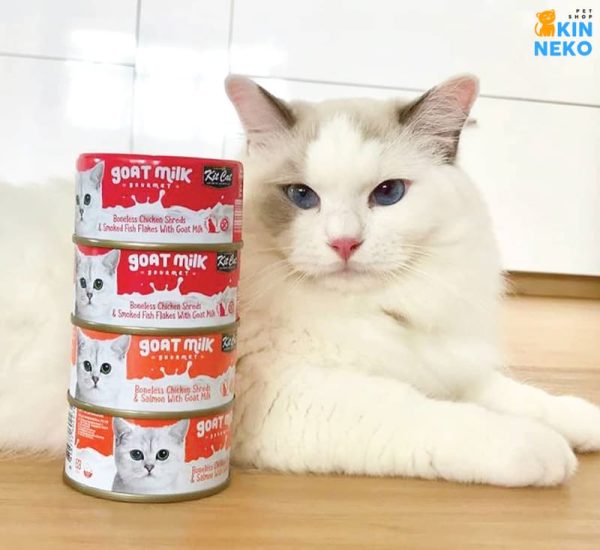 Pate sữa dê Kit Cat Gà Xé - Lon 70g | Kin Neko Petshop