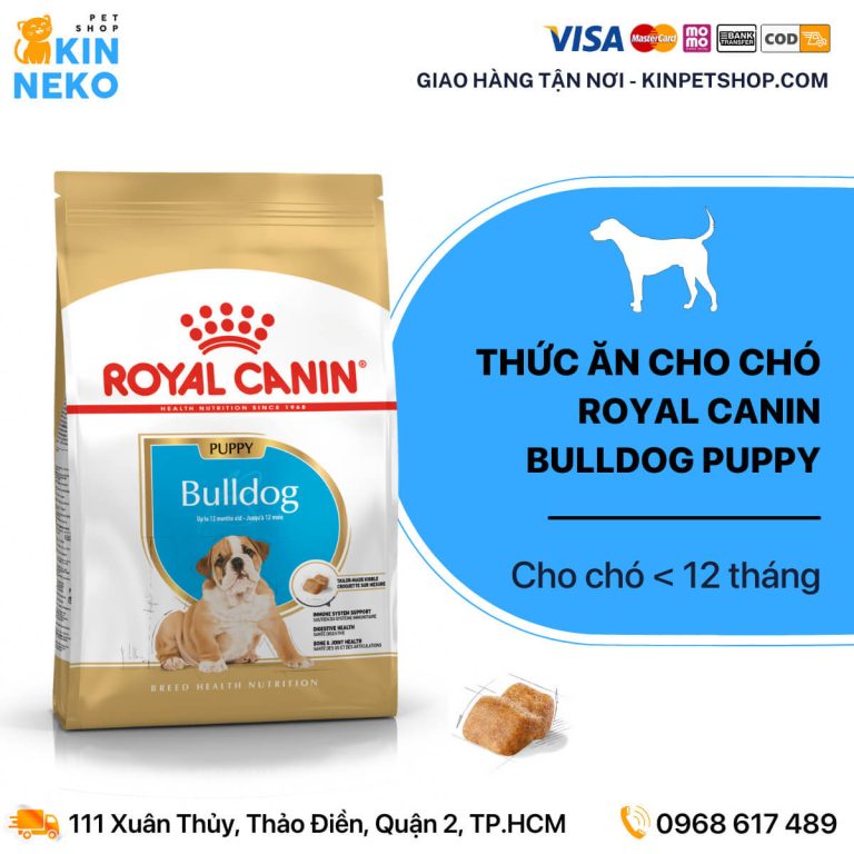 KIN NEKO PET SHOP