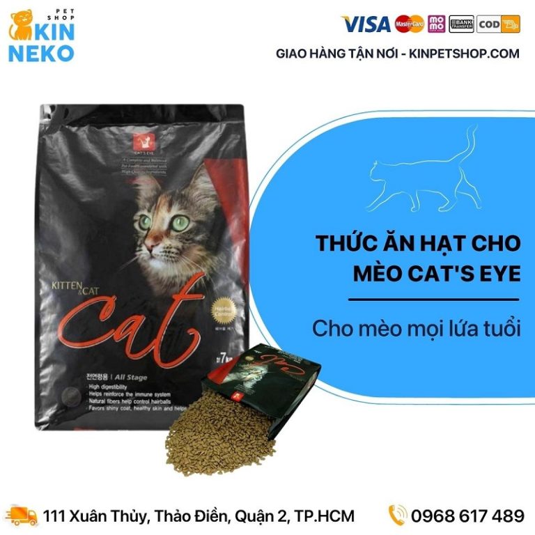 Top 12 thức ăn hạt cho mèo tốt nhất hiện nay không thể bỏ qua | Kin ...