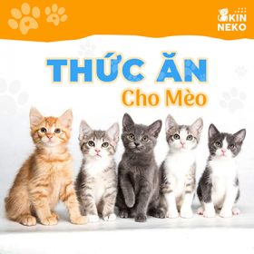 KIN NEKO PET SHOP - CỬA HÀNG THÚ CƯNG