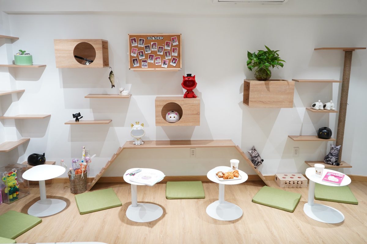 Kin Neko Cat Cafe - Điểm đến lý tưởng cho người yêu mèo