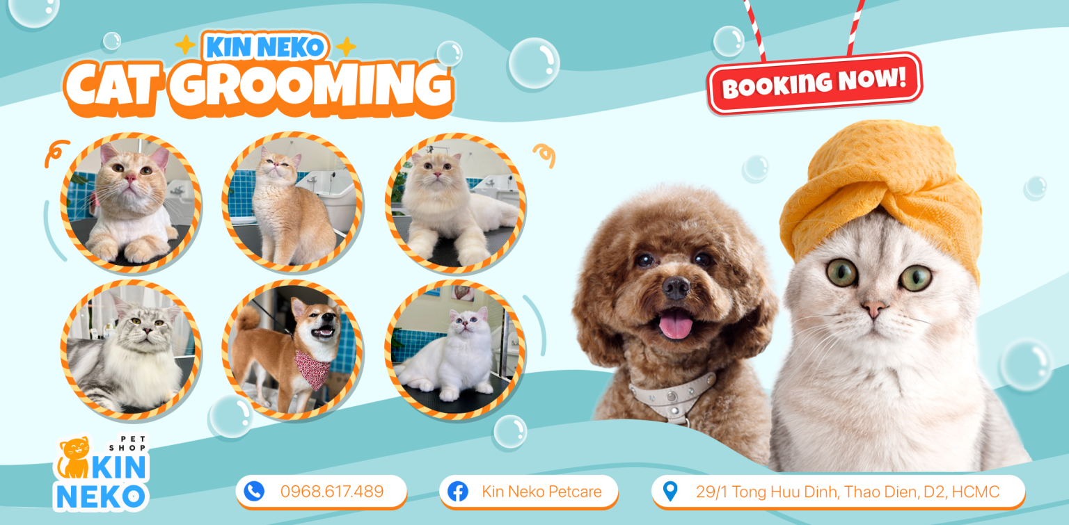 KIN NEKO PET SHOP - CỬA HÀNG THÚ CƯNG
